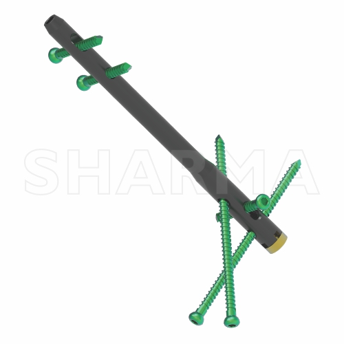 ELEGANT® Ankle Arthrodesis Nail